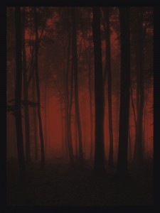 Crimson Forest | 411posters