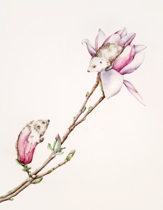 Amy Ross | 411posters