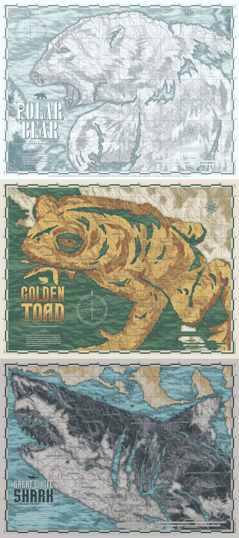 “Animal Atlas II” by Anthony Petrie. (3) 18″ x 24″ Screenprints. Ed of ...